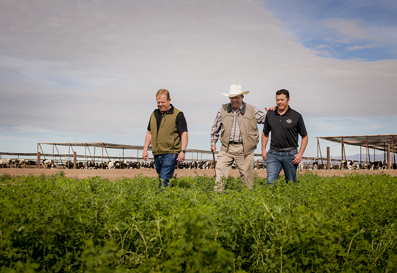 We Know our Sources: Brandt Beef | Heinen's Grocery Store