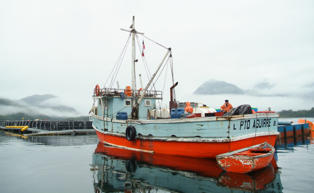 The Truth about Heinen's Farmed Seafood | Heinen's Grocery Store