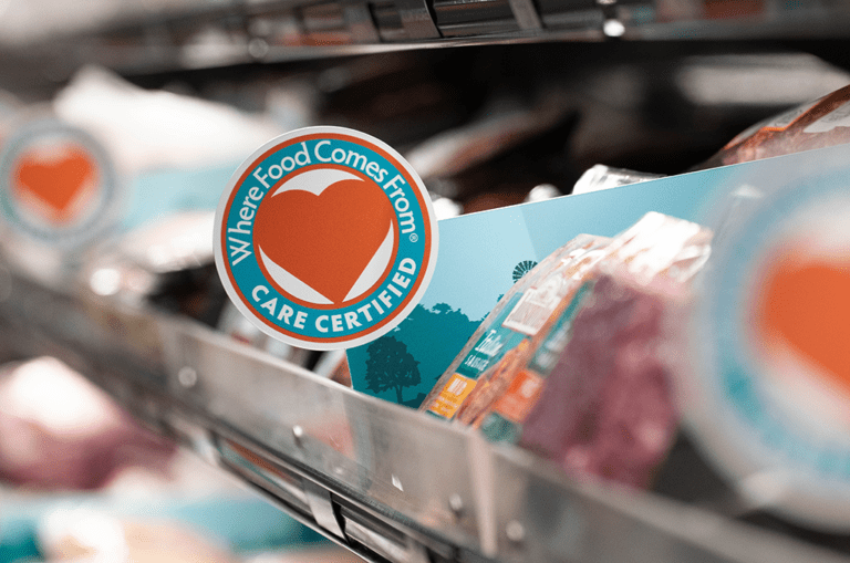 Local Butcher Shop | Meat Department | Beef, Pork, Poultry