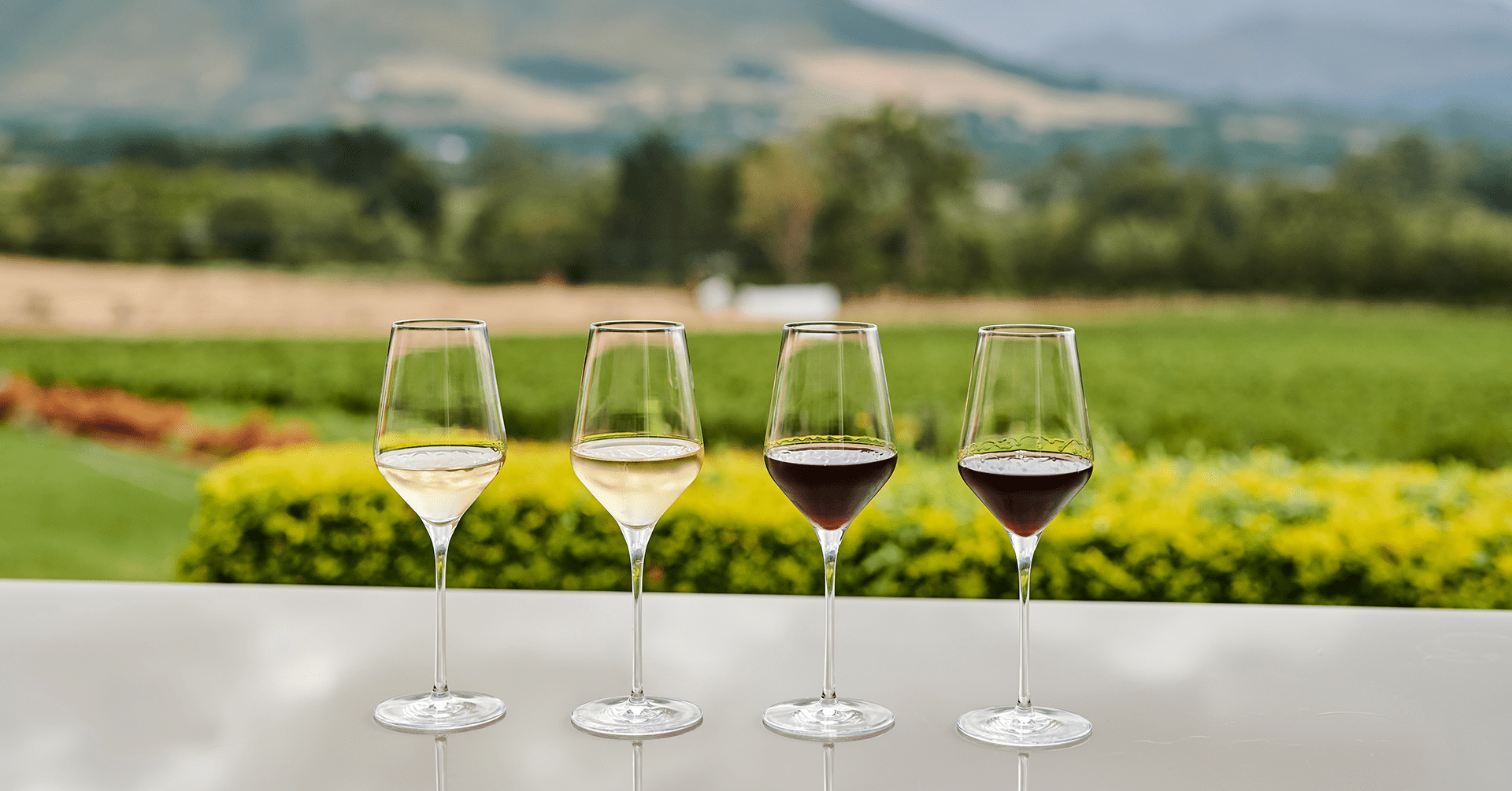 Gilbert Cellars Wine Tasting | Heinen's Grocery Store | April 30, 2025 ...