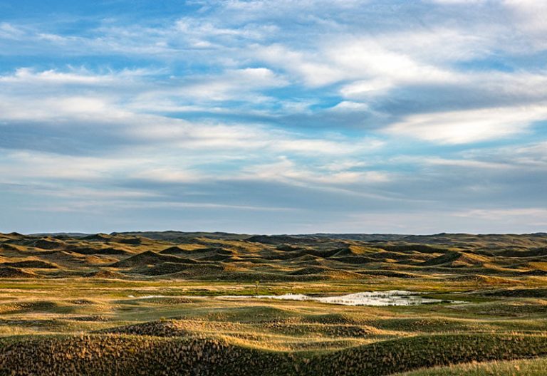 We Know our Sources: Heinen's Organic Beef | Heinen's Grocery Store